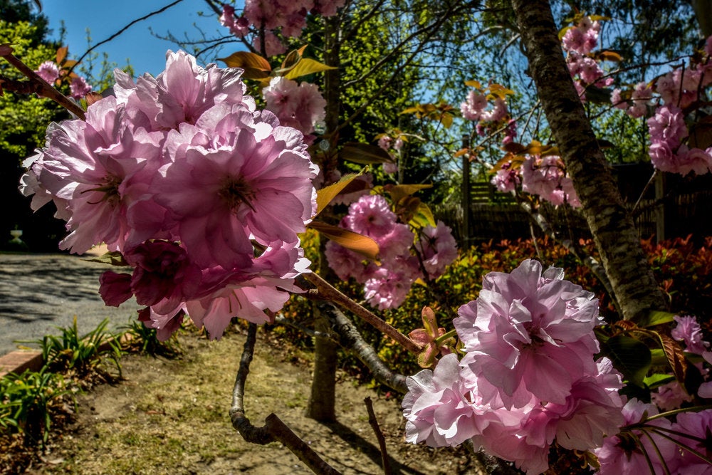 Winter ROOM 1 - SINGLE ONLY | HOUSE OF JULES ART STUDIO - MILTON